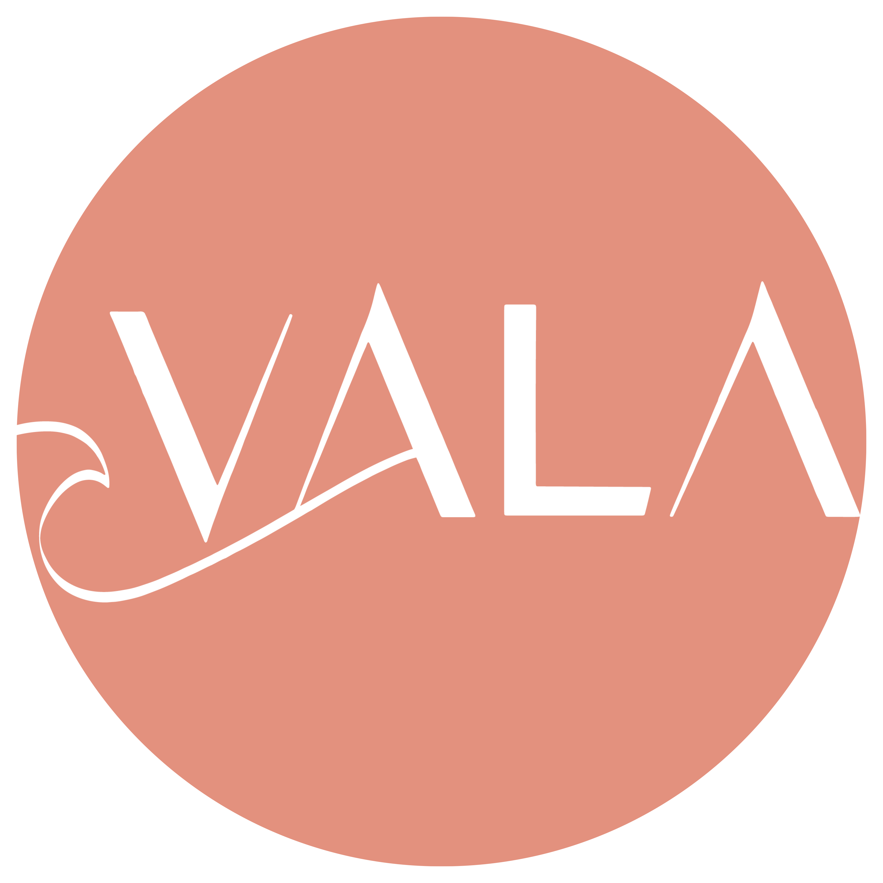 VALA ڤالا - بوابة إلى K-Beauty – VALA ڤالا - Gateway to Korean Beauty
